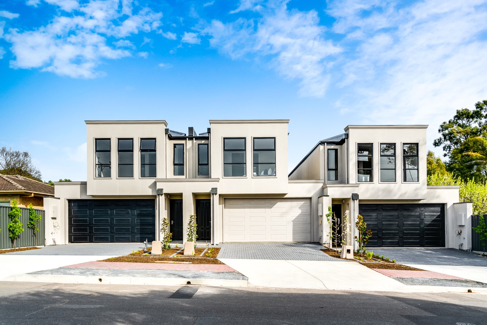 Edward | Magill - Lofty Project Management